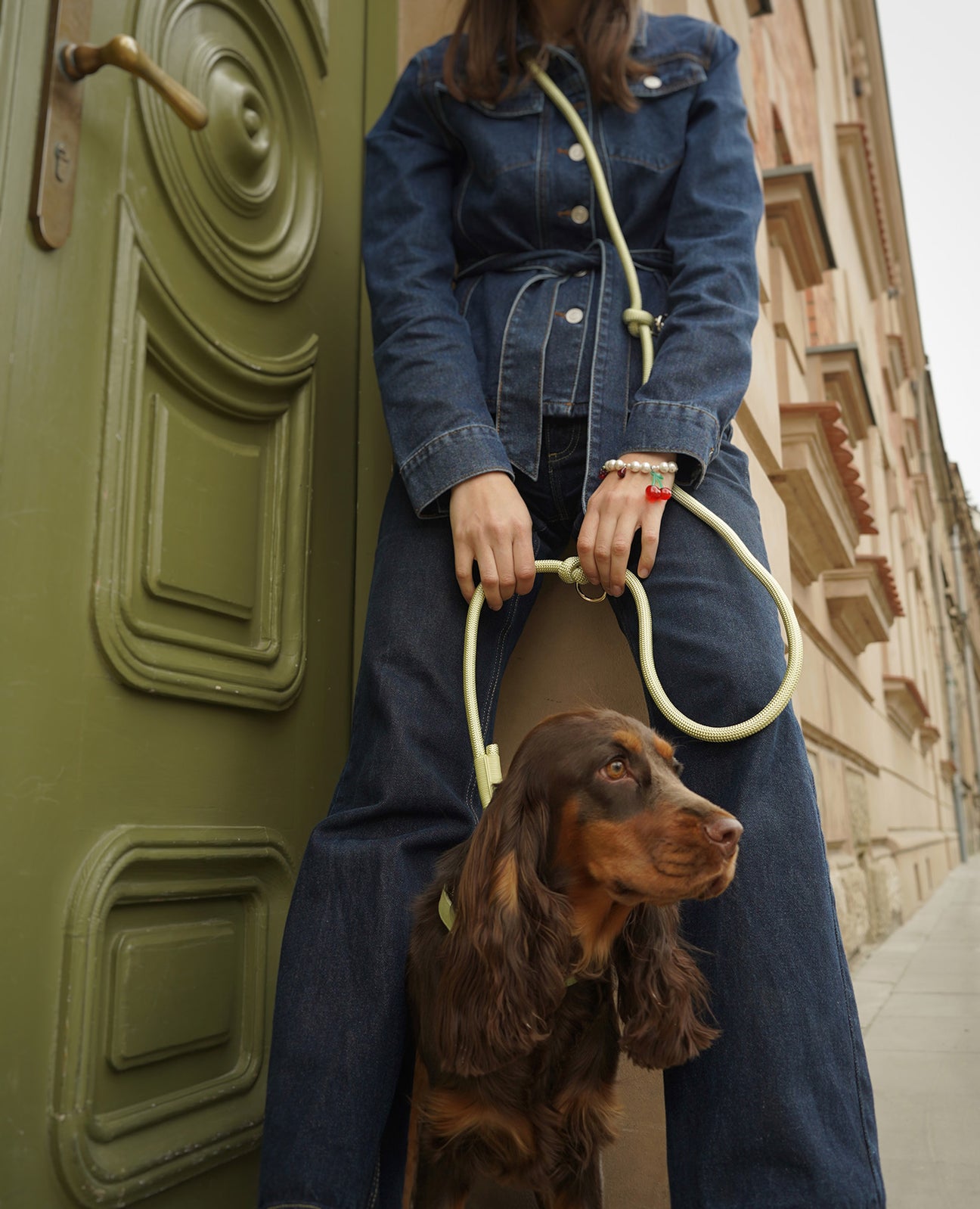 Furlou - Dog Accessories – FURLOU