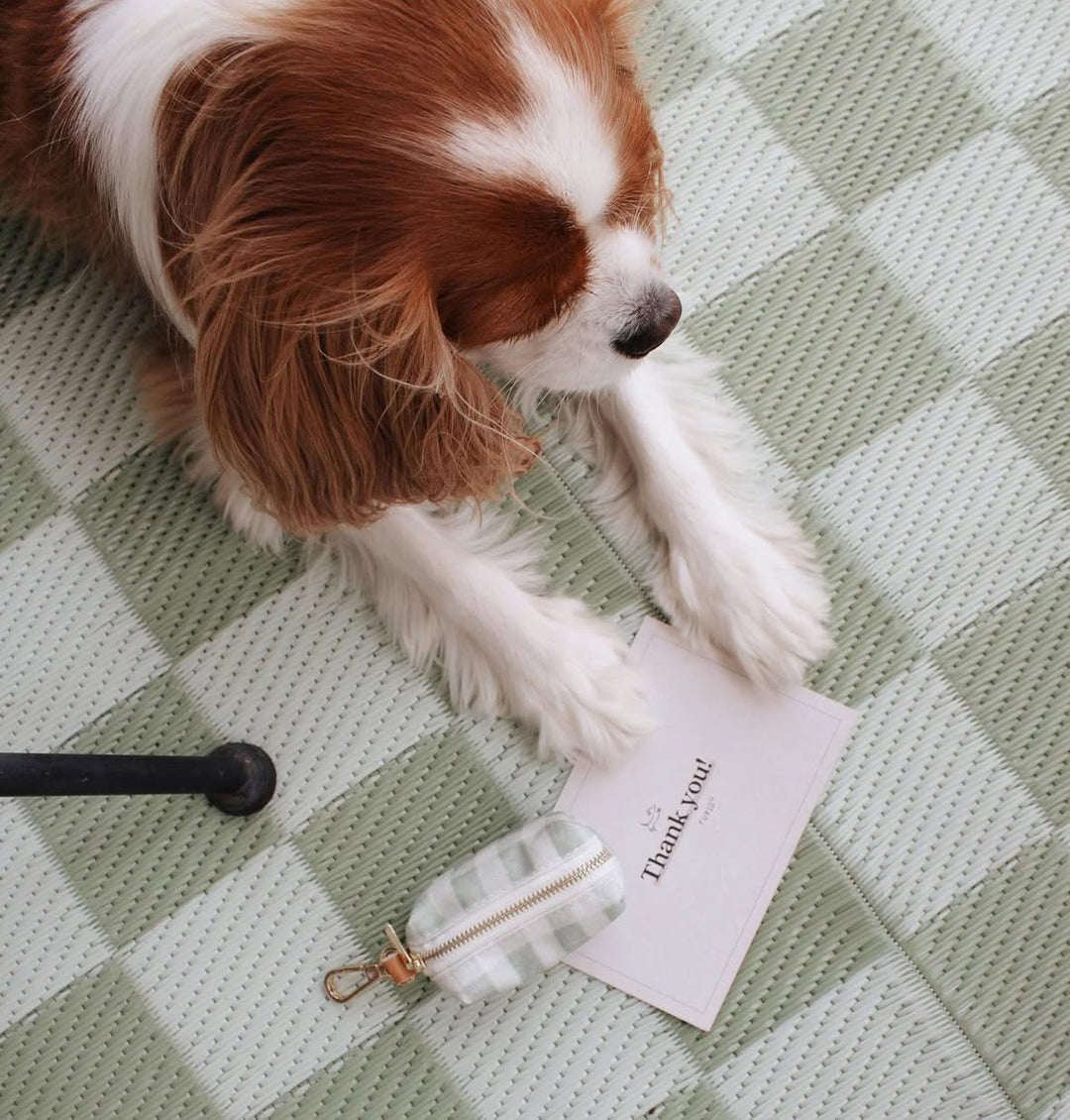 'Blue' - Poop Bag Holder – FURLOU